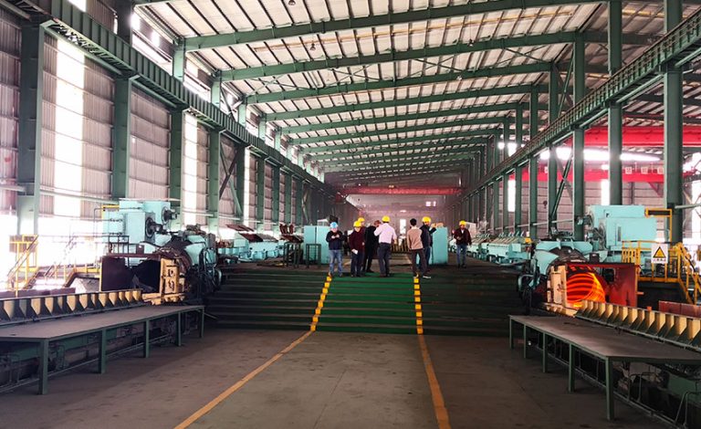 Common Phenomena and Processing Methods in Wire Rod Production